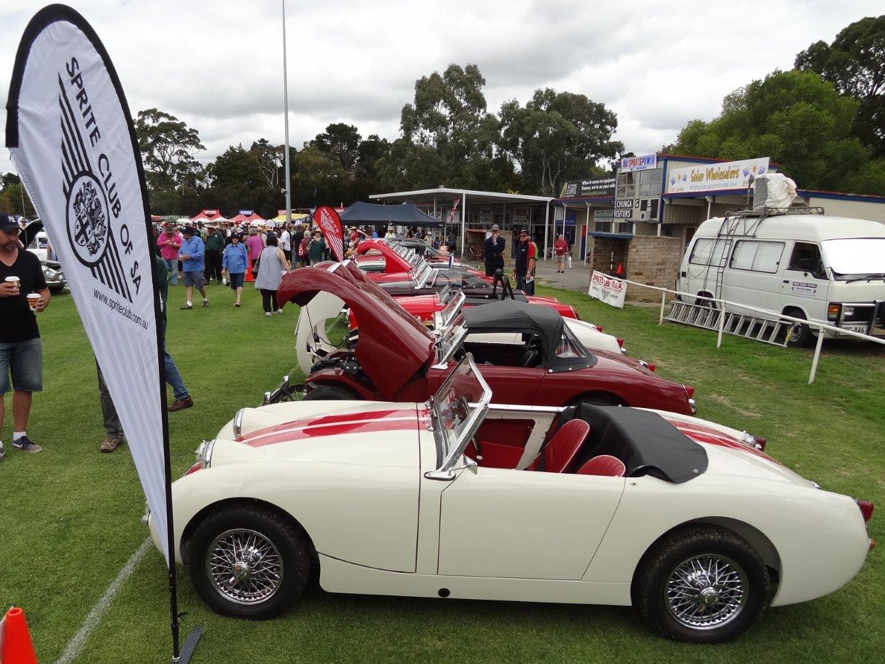 all british day 2016 | Sprite Club of South Australia